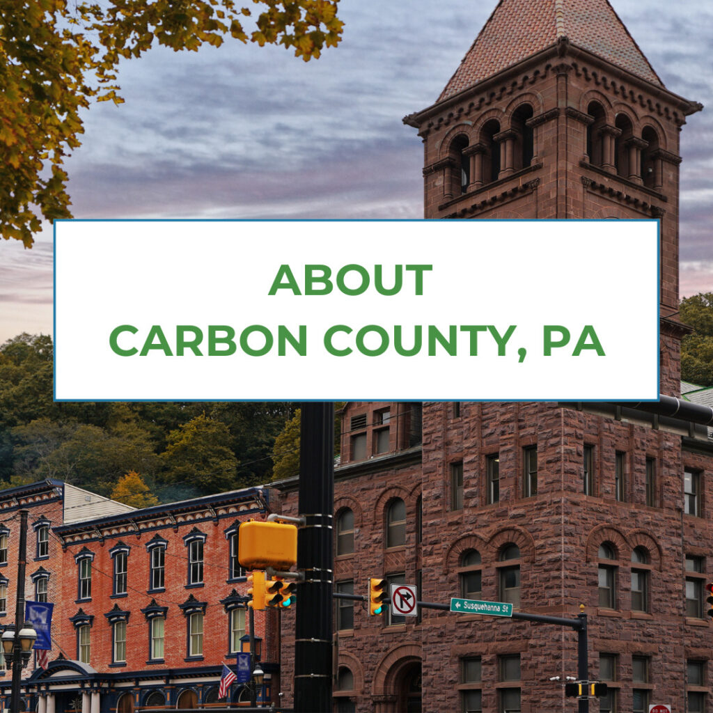 Carbon Chamber & Economic Development - Carbon Chamber & Economic ...